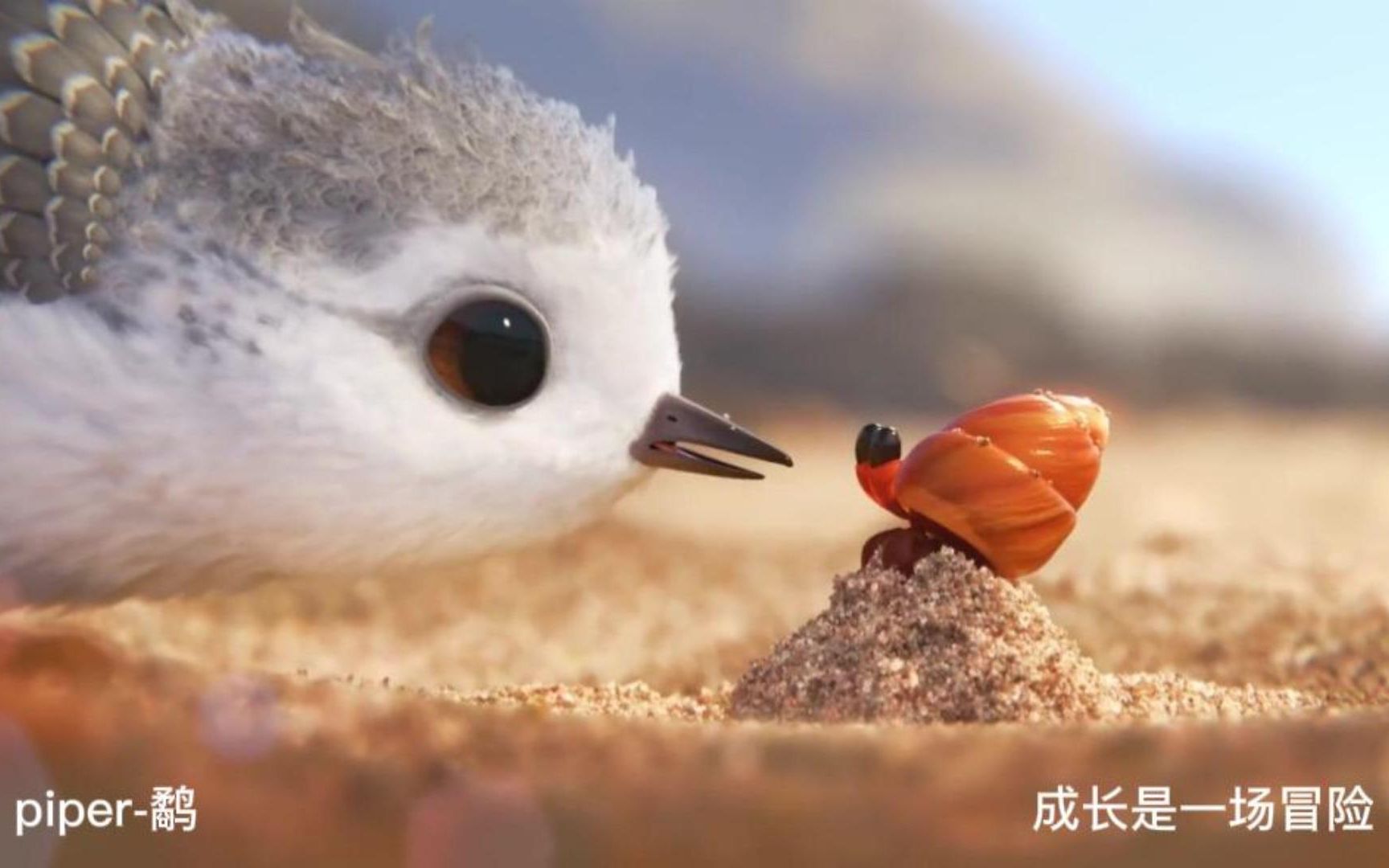 奥斯卡最佳动画短片《鹬》完整版