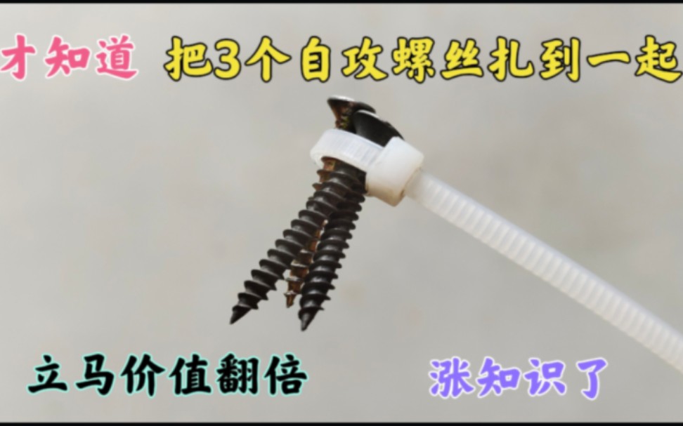 今天才知道,原来把3个自攻螺丝用扎带扎一起,使用价值立马翻倍