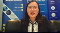 单B细胞克隆与抗体研发