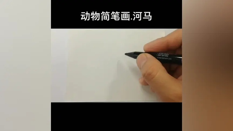 可爱简笔画 简笔画 动物简笔画.河马的画法