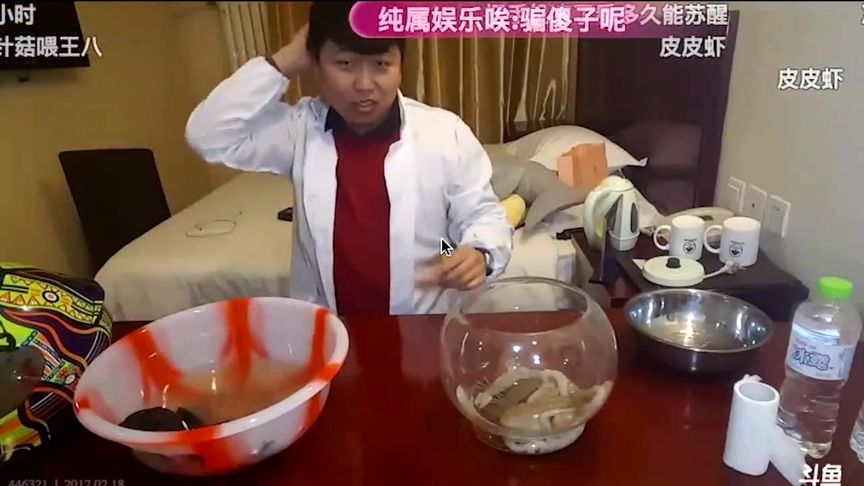 斗鱼主播海涛液氮零下196度极速冰冻皮皮虾,走不了这次!