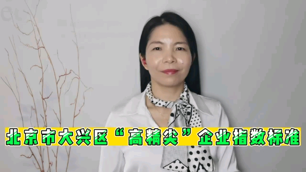 北京市大兴区高精尖企业指数标准