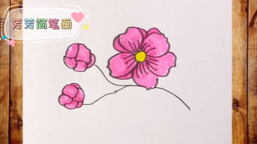 儿童简笔画启蒙,好看的粉色樱花