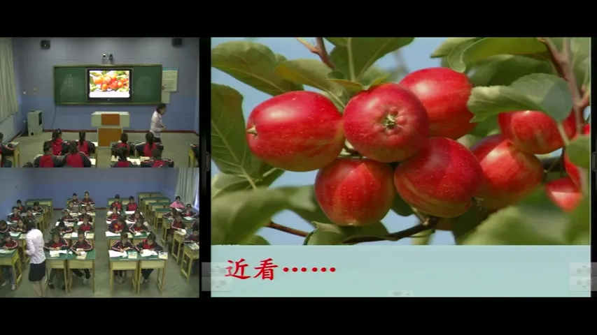 部编版小学语文优质课 习作:我的植物朋友 教学实录 三年级下册