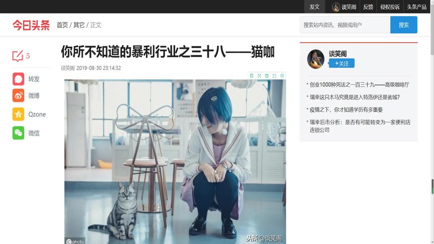 你所不知道的暴利行业之三十八——猫咖