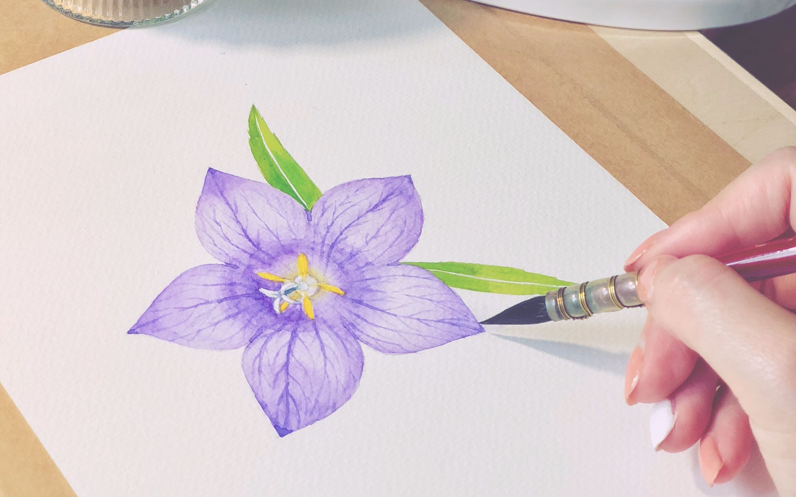 【Essie手绘】一朵桔梗花的水彩画法