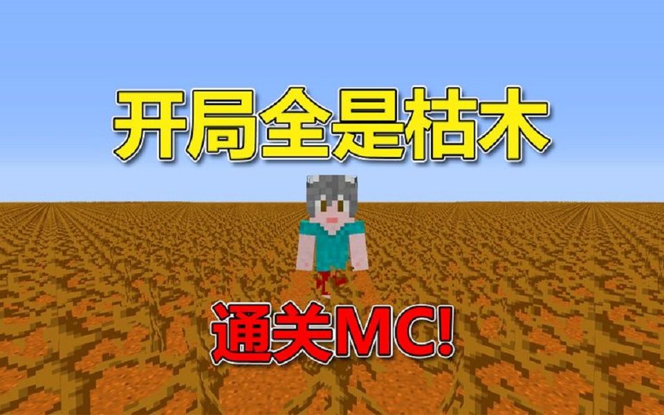 我的世界:开局全是枯木?通关MC!