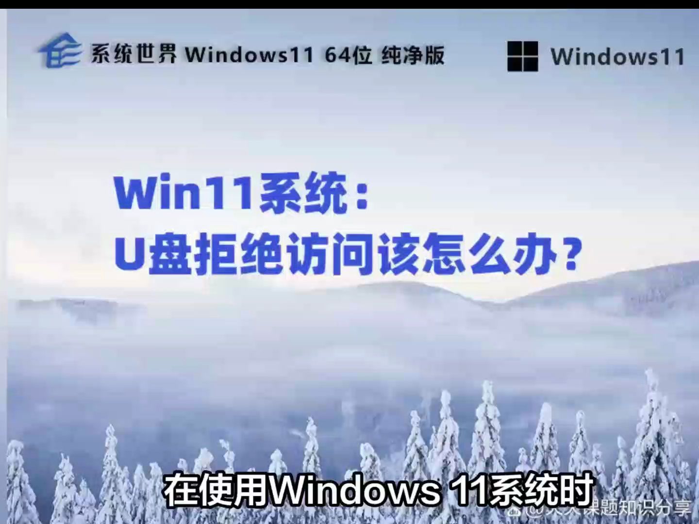 Win11系统U盘拒绝访问?解决方案分享