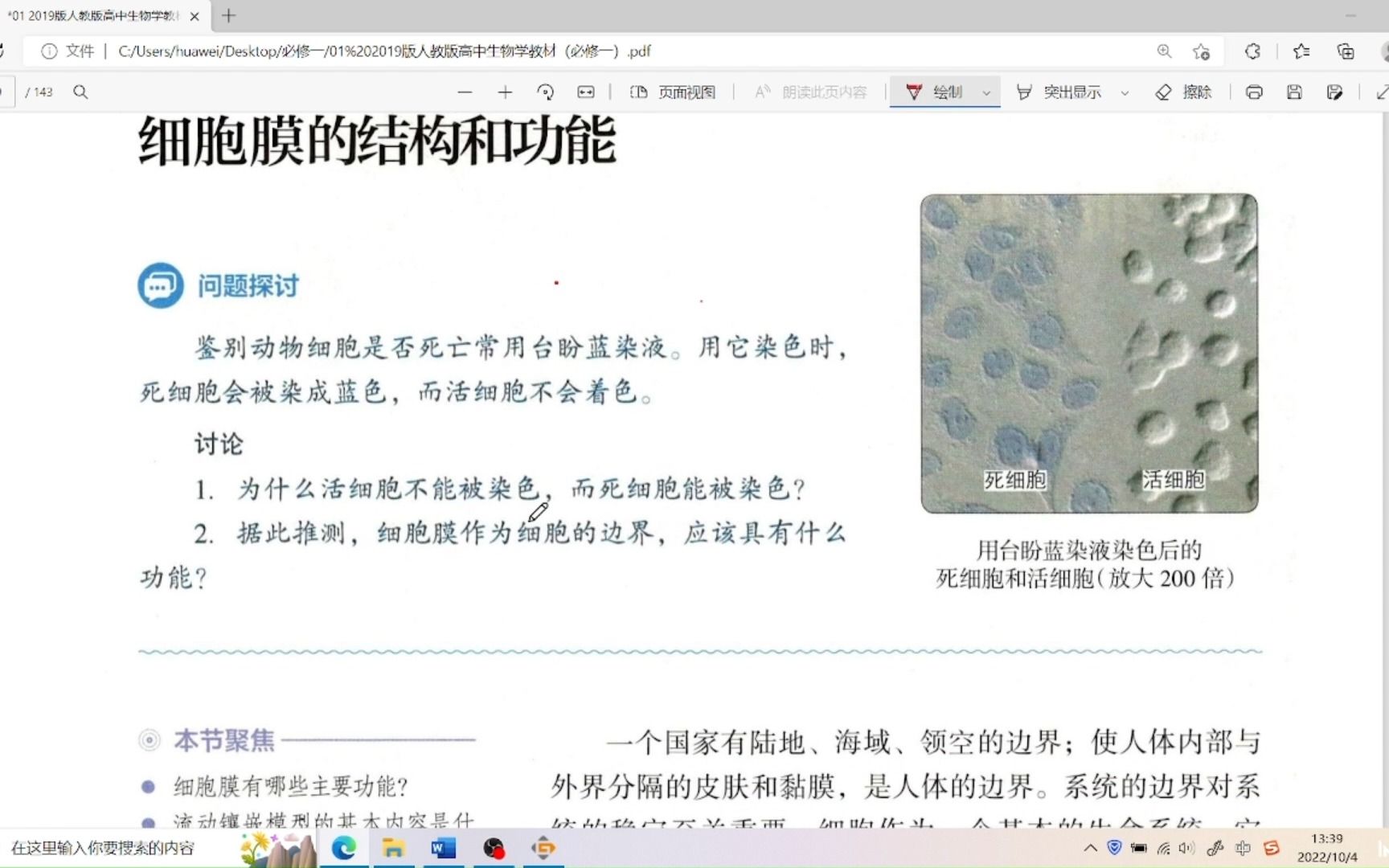 细胞膜的结构和功能
