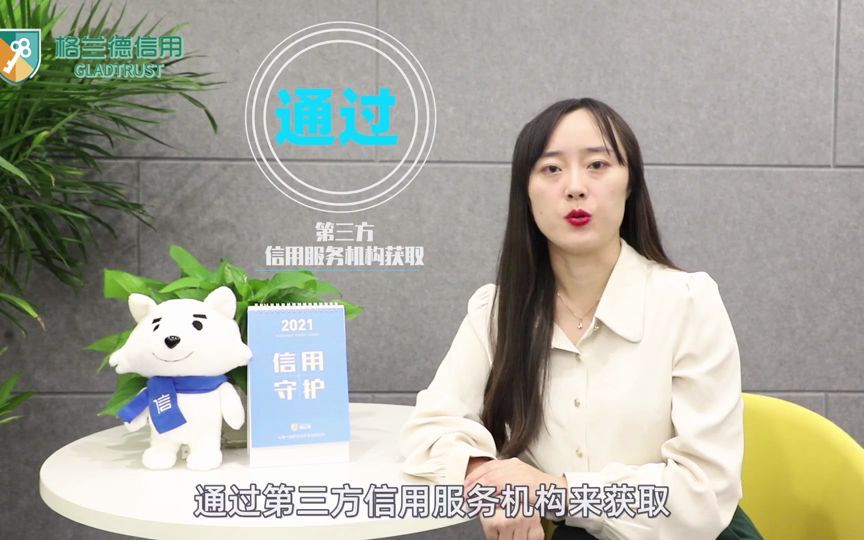 通过德国企业资信调查预防外贸风险,德国企业信用报告的内容和获取...