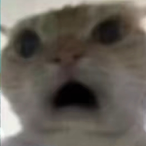 壹员猛姜 