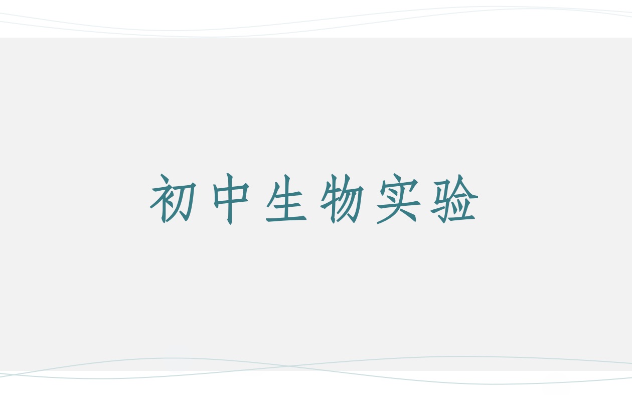 42观察小肠的内部结构