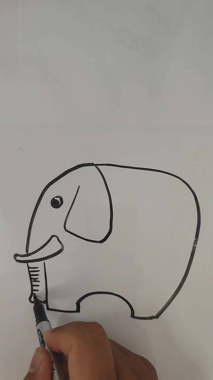 简笔画教程--大象