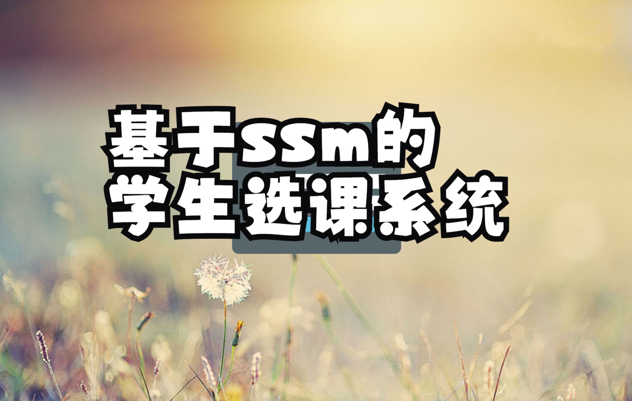 基于ssm的学生选课系统