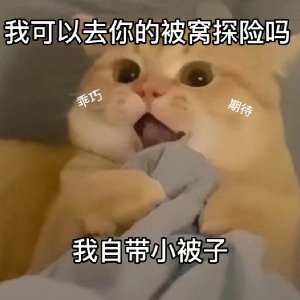 猫猫可爱猫 