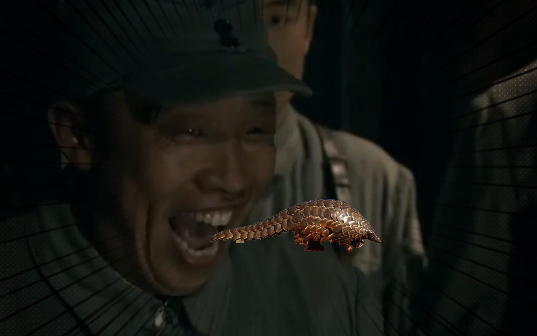 《野生动物保护法》