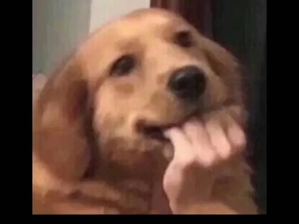 “原来这才是真正的钢管舞”