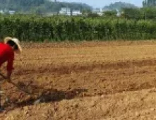 土地确权中哪些家庭成员属于共有人, 需要怎么登记?