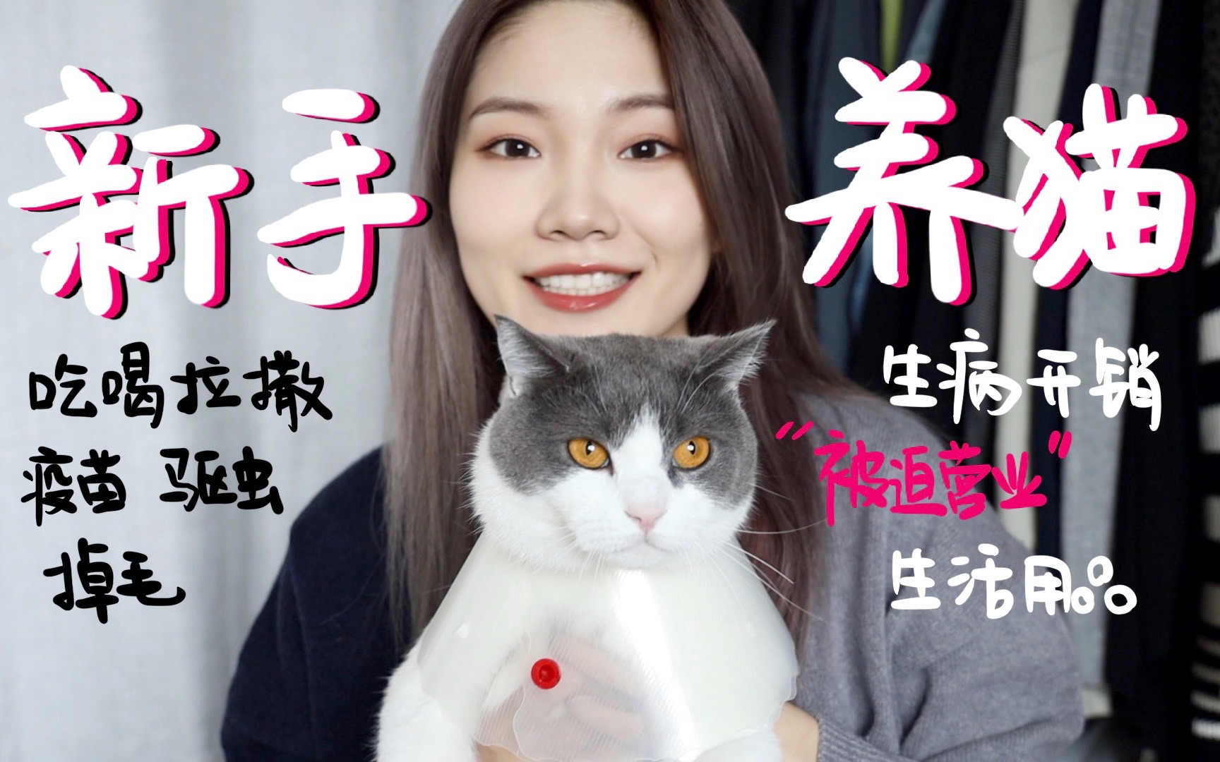 【新手养猫攻略】从吃喝拉撒到打针看病//养猫的花销//怎么对抗掉毛