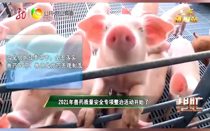 【新农村】我省两家种子企业获AAA级信用企业