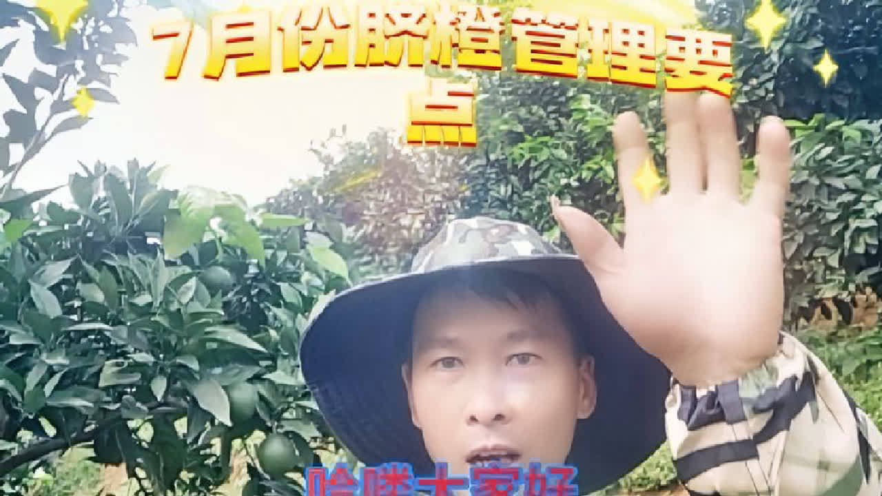 七月份病虫害管理#中视频伙伴计划 #三农 #果树管理 #知识分享