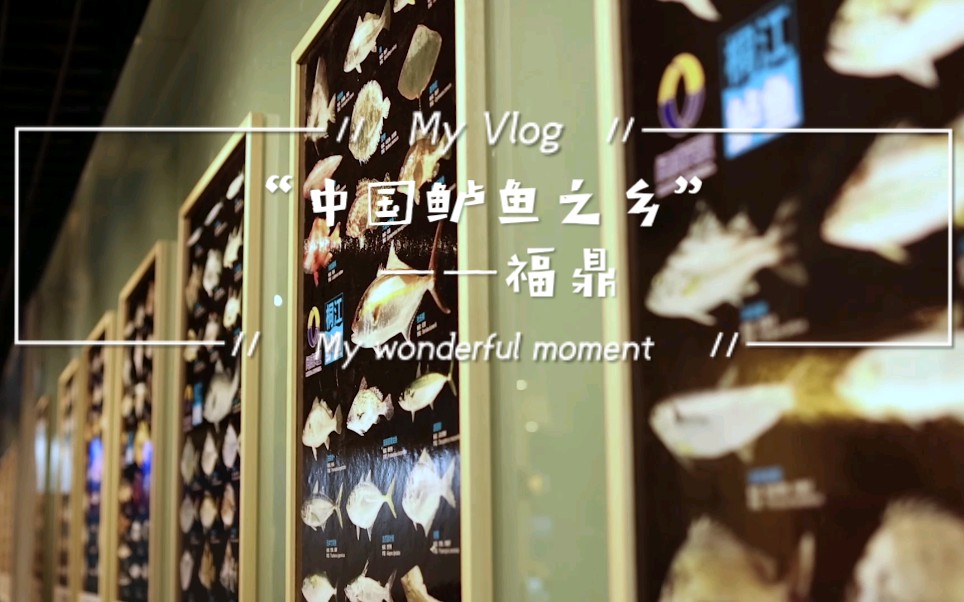 原来“中国鲈鱼之乡”在这里呀～