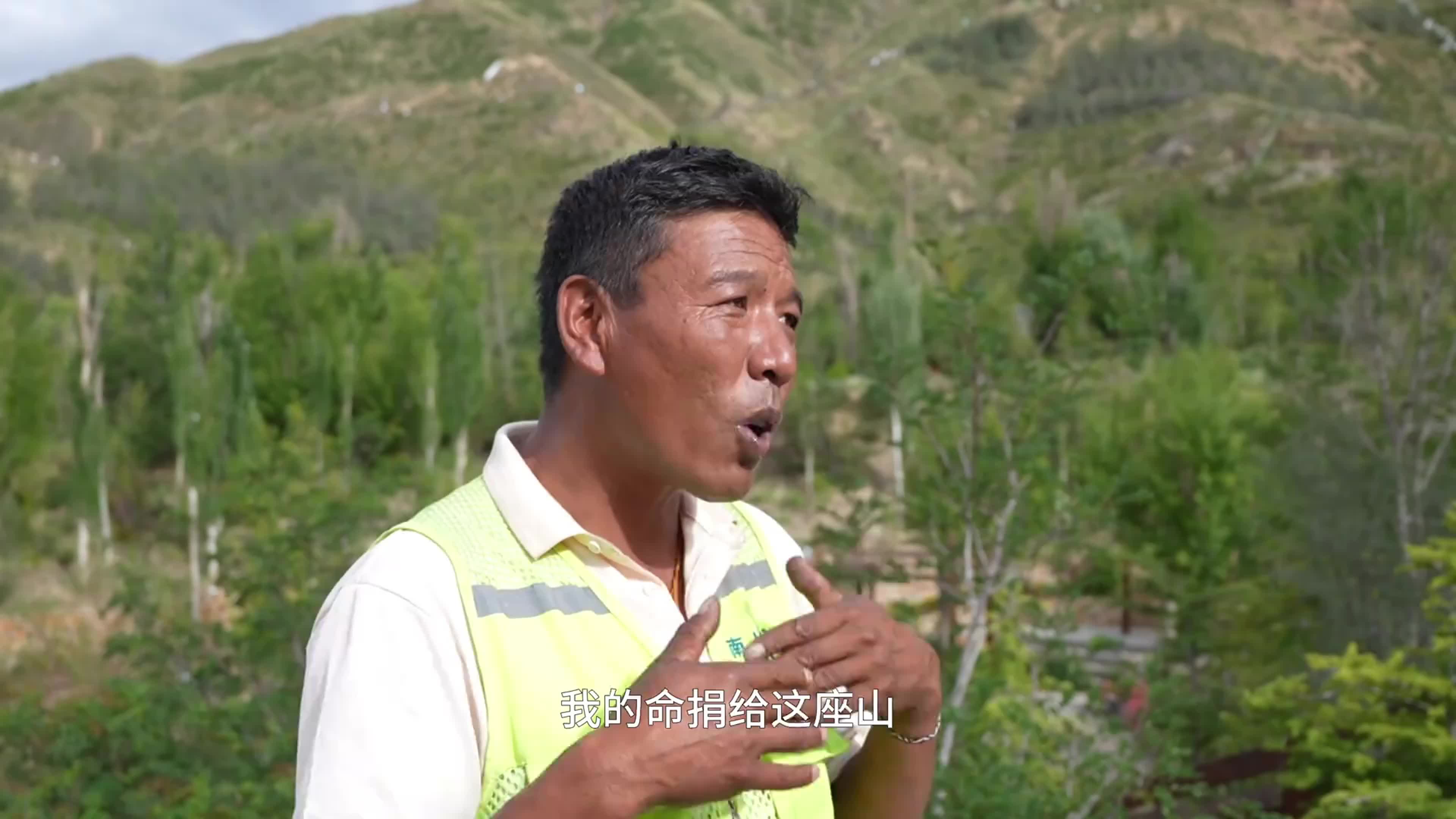 《问山》里主持人刚强说的没错:南北山种树,种的是树更是心气!风沙抢...