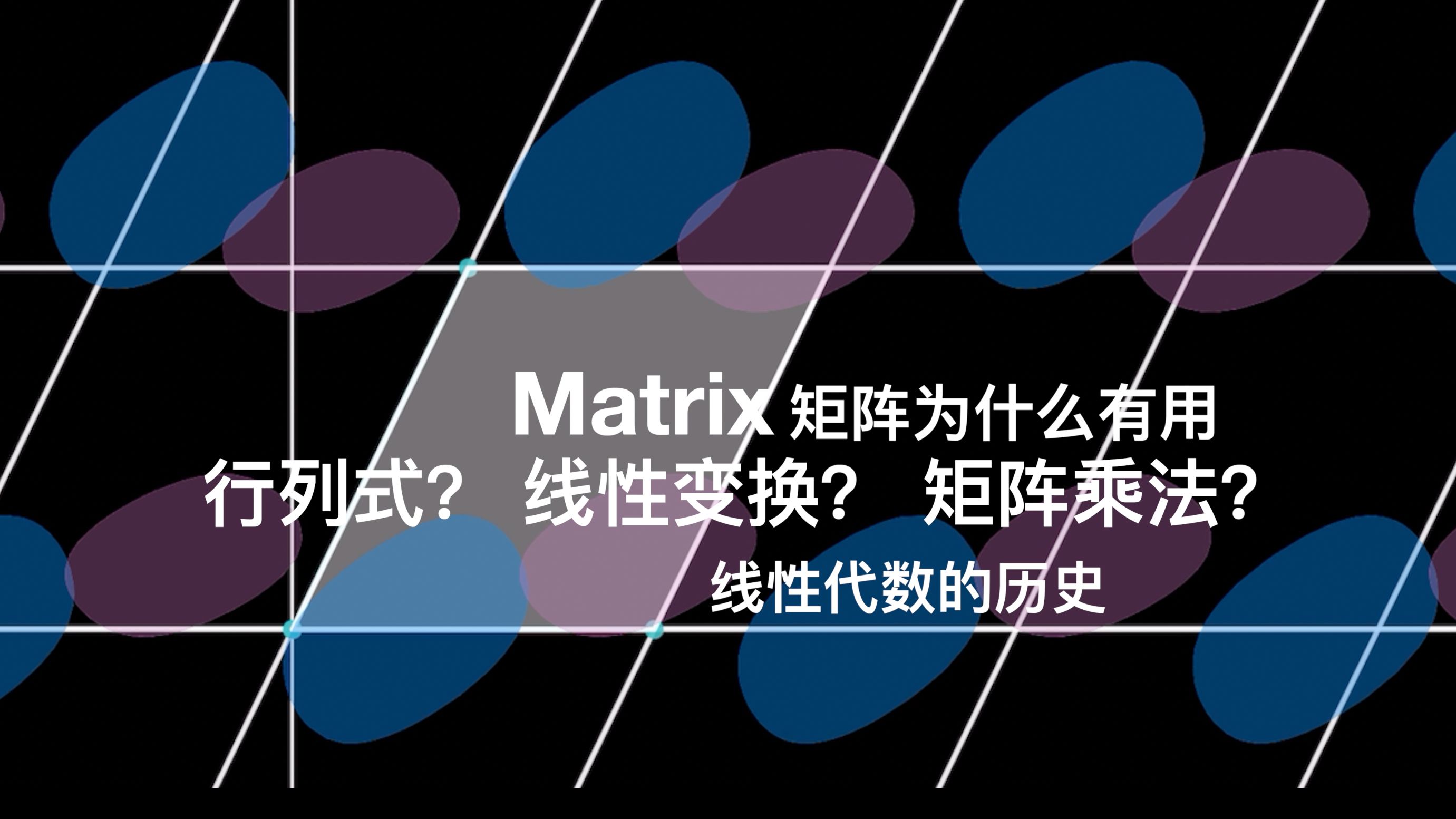 线性代数的历史|先用最少的术语,把它刻入基因|动画直观理解线性变换,...