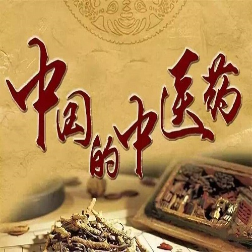 中医大侦探 