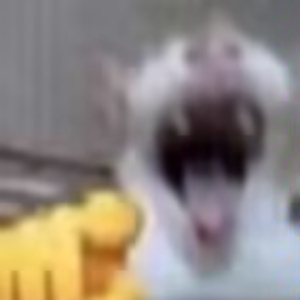 wwyyue1 