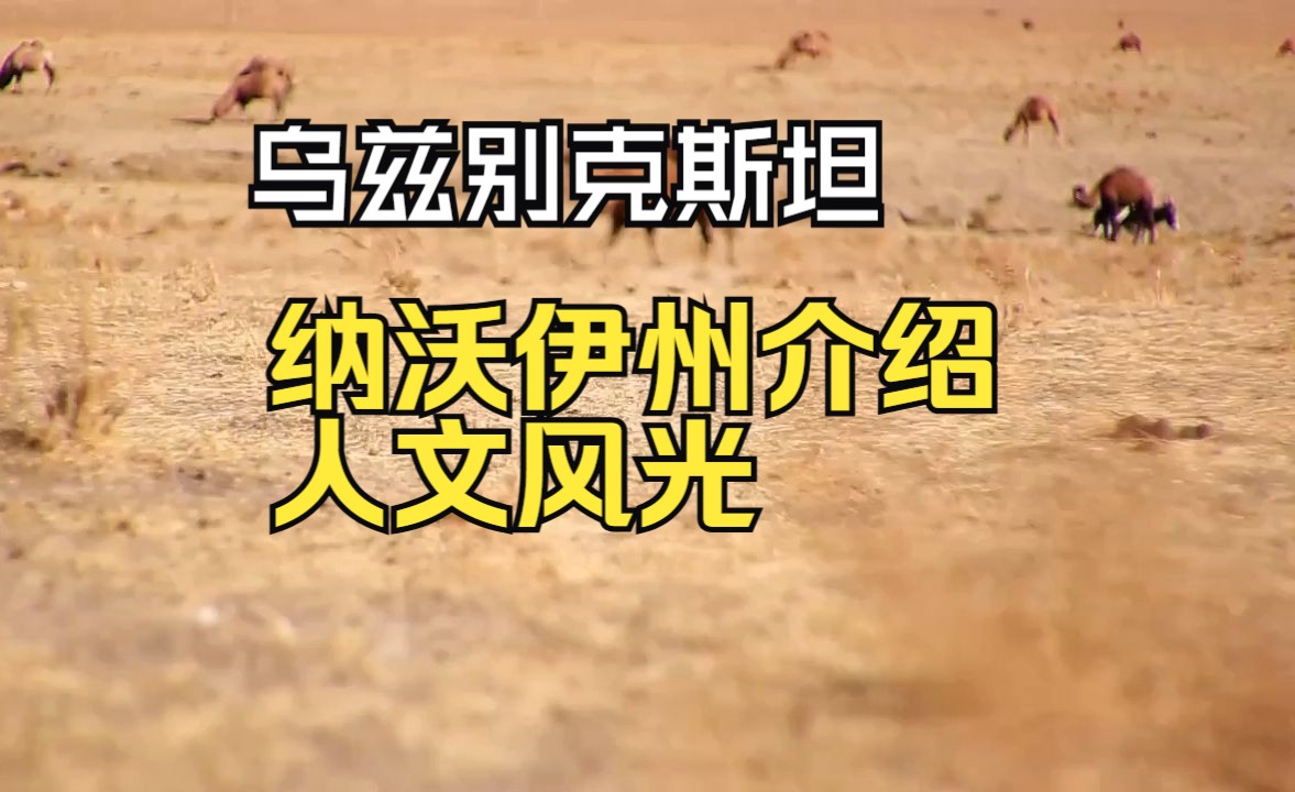 乌兹别克斯坦各州介绍-纳沃伊州宣传片 ∣Navo
