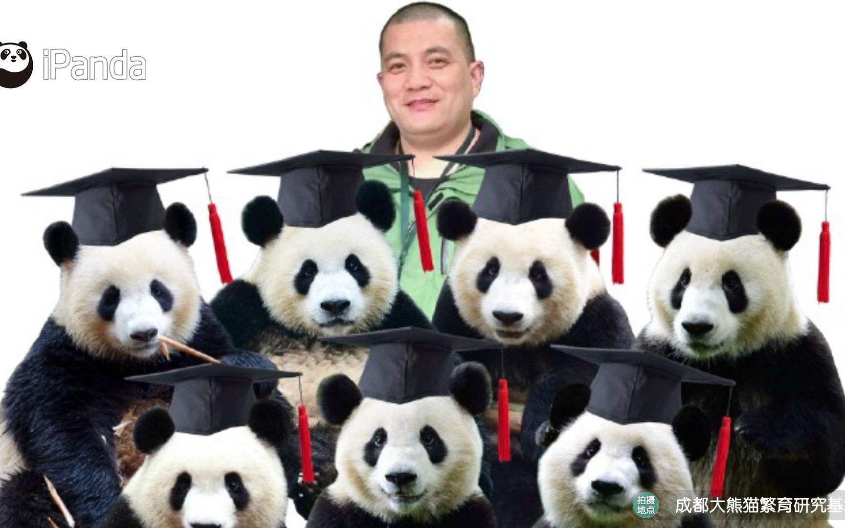 十年见证!你不能不知道的大熊猫故事
