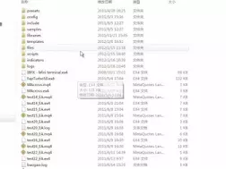 第26课.MT4编程培训教程.为什么同样的EA在有些MT4平台开单不行