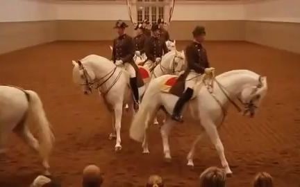 维也纳西班牙骑术学校现场马术表演