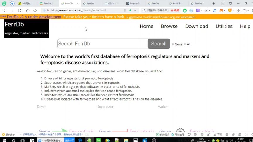 ferrDb数据库实操演示