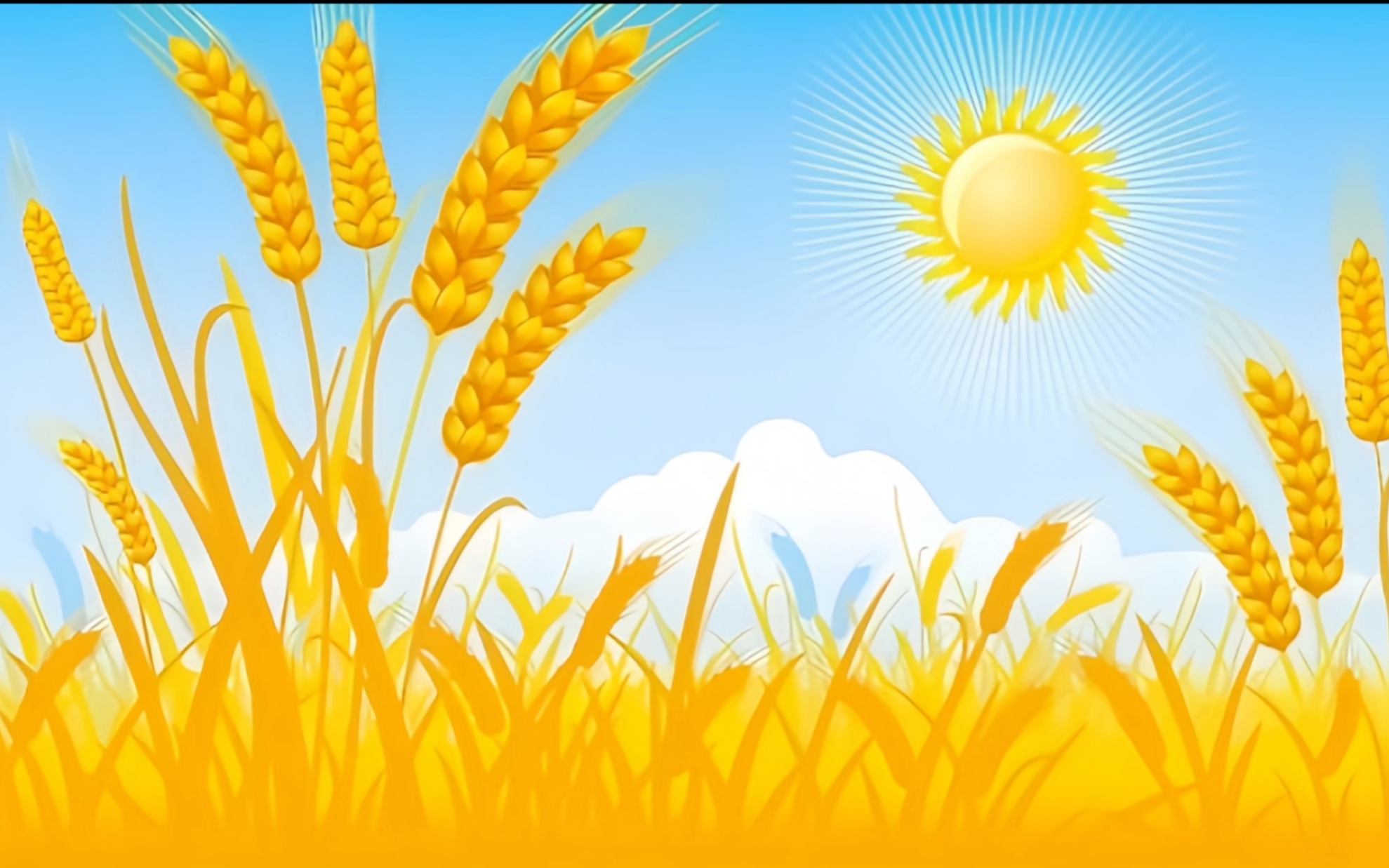 奇妙知识小课堂-《水稻和小麦有什么区别》