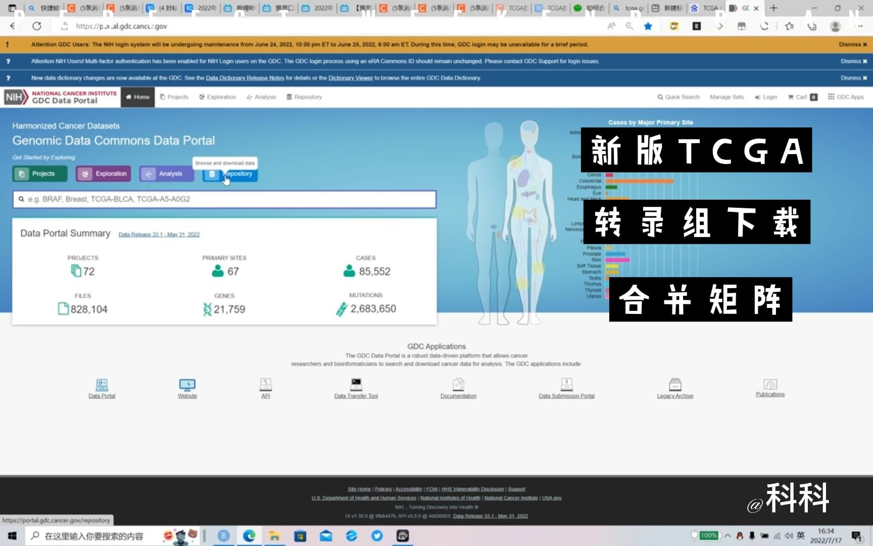 新版TCGA数据下载与整理矩阵(有免费代码)