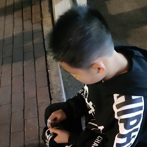 百甲季迸 