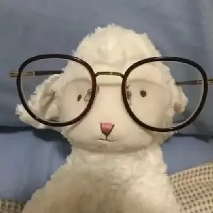 羊羊洋学长 