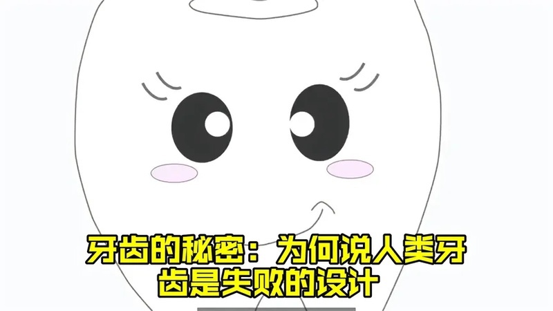 牙齿的秘密:为何说人类牙齿是失败的设计