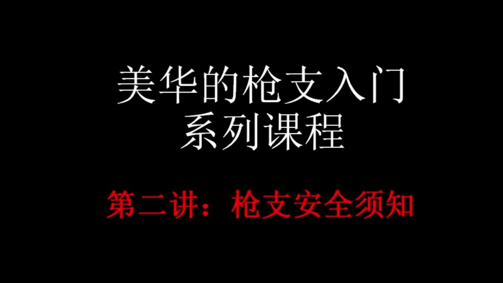 美国华人的枪支入门系列课程(二)枪支安全须知
