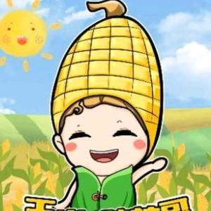 玉米种植推荐讲解员 