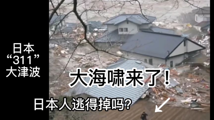 “311日本大地震”大海啸来了 真是一场大灾难
