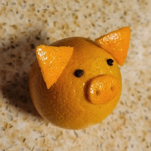 小骆鳄 