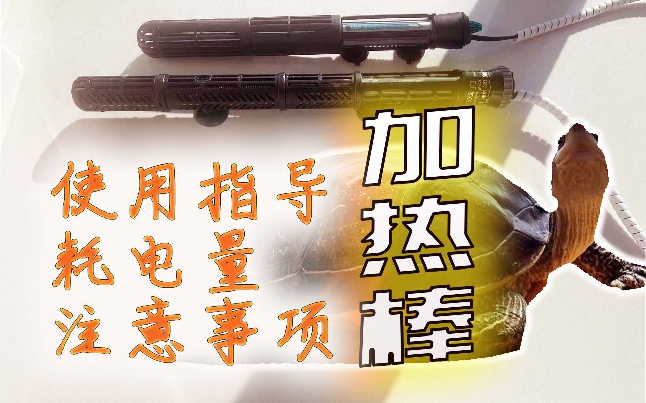【养龟干货】乌龟加热棒使用指南,耗电量,注意事项总结,加热棒怎么用,...