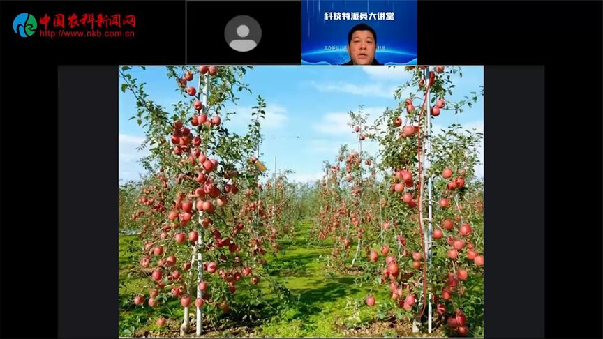 郑先波:苹果新模式管理技术实例