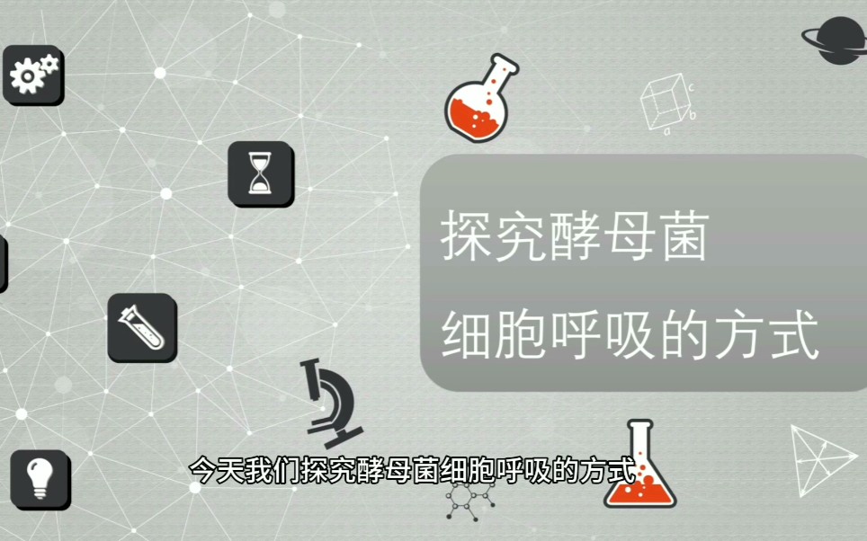 微课 探究酵母菌细胞呼吸的方式