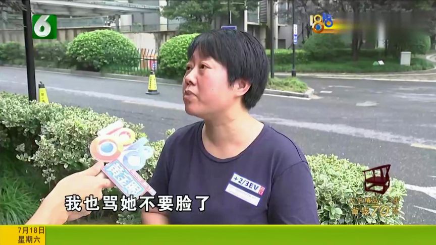业主代表建议没被业委会采纳 群里对骂又约架 双方矛盾因何而起?