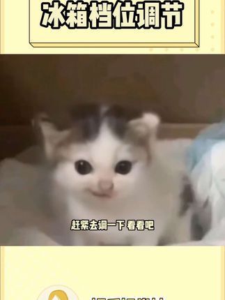 感觉这几年冰箱白用了!#冰箱档位#冷知识#实用小技巧