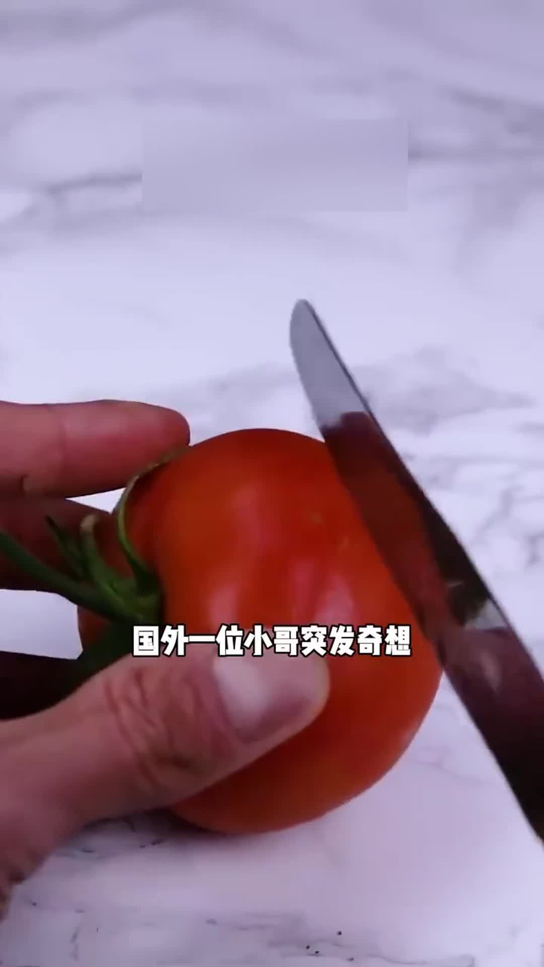 植物生长过程超有趣!快来一探究竟